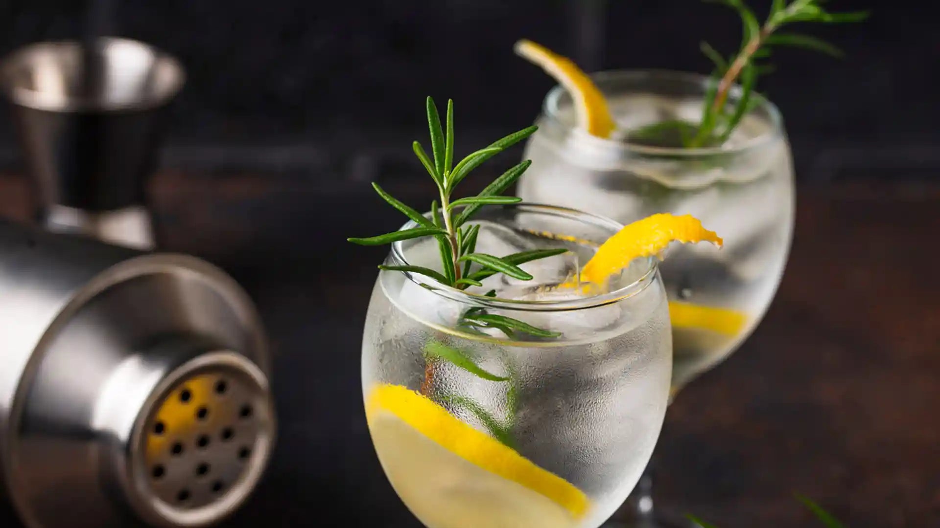 Gin – The Liquid Collection